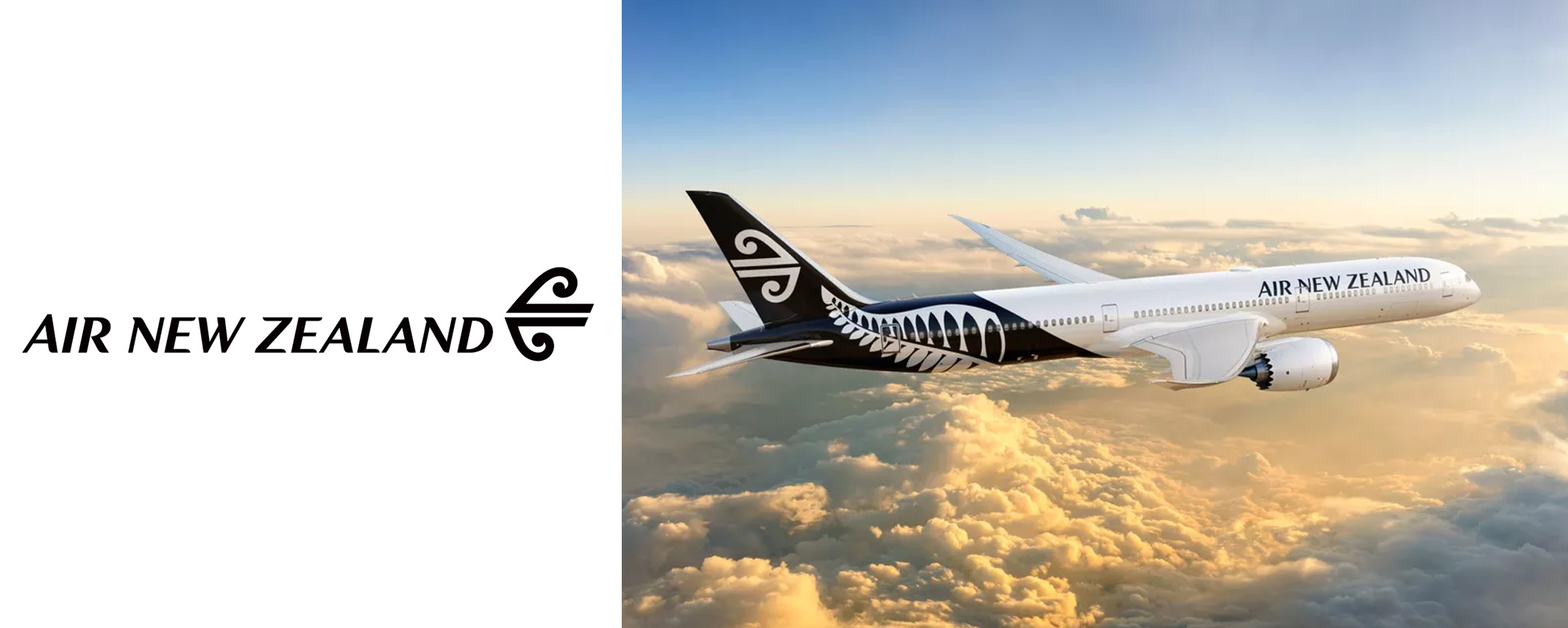AIR NEW ZEALAND Airline Details Toronto Pearson Airport YYZ AIR NEW ZEALAND Airline Details Toronto Pearson Airport YYZ